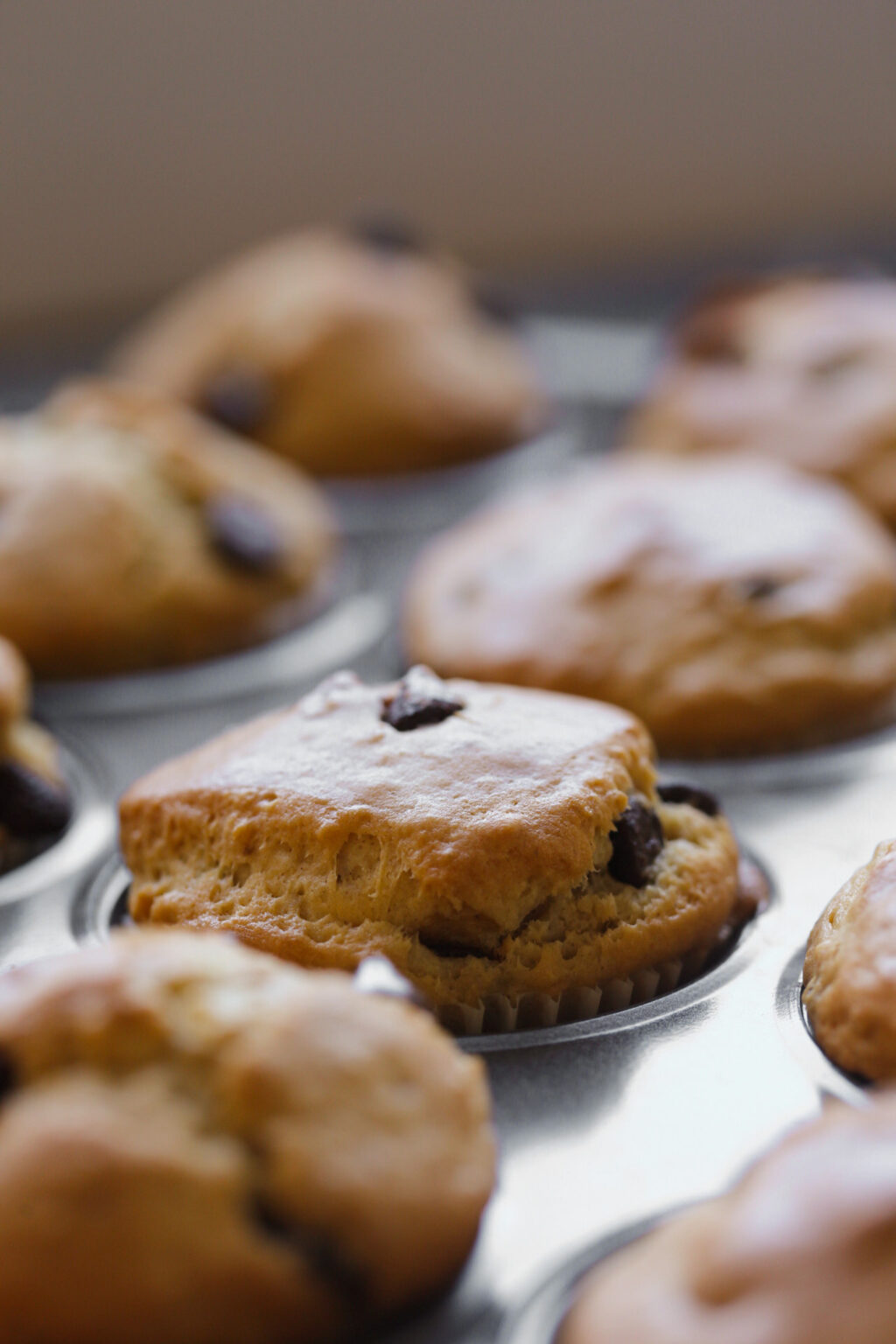 Chocolate Chip Walnut Snack Muffins - HealthyHappyLife.com