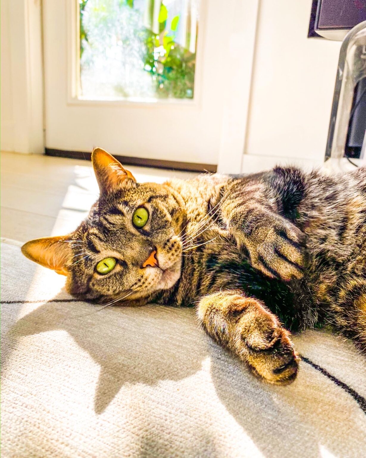 20 Week Baby Bump (Photos) - HealthyHappyLife.com