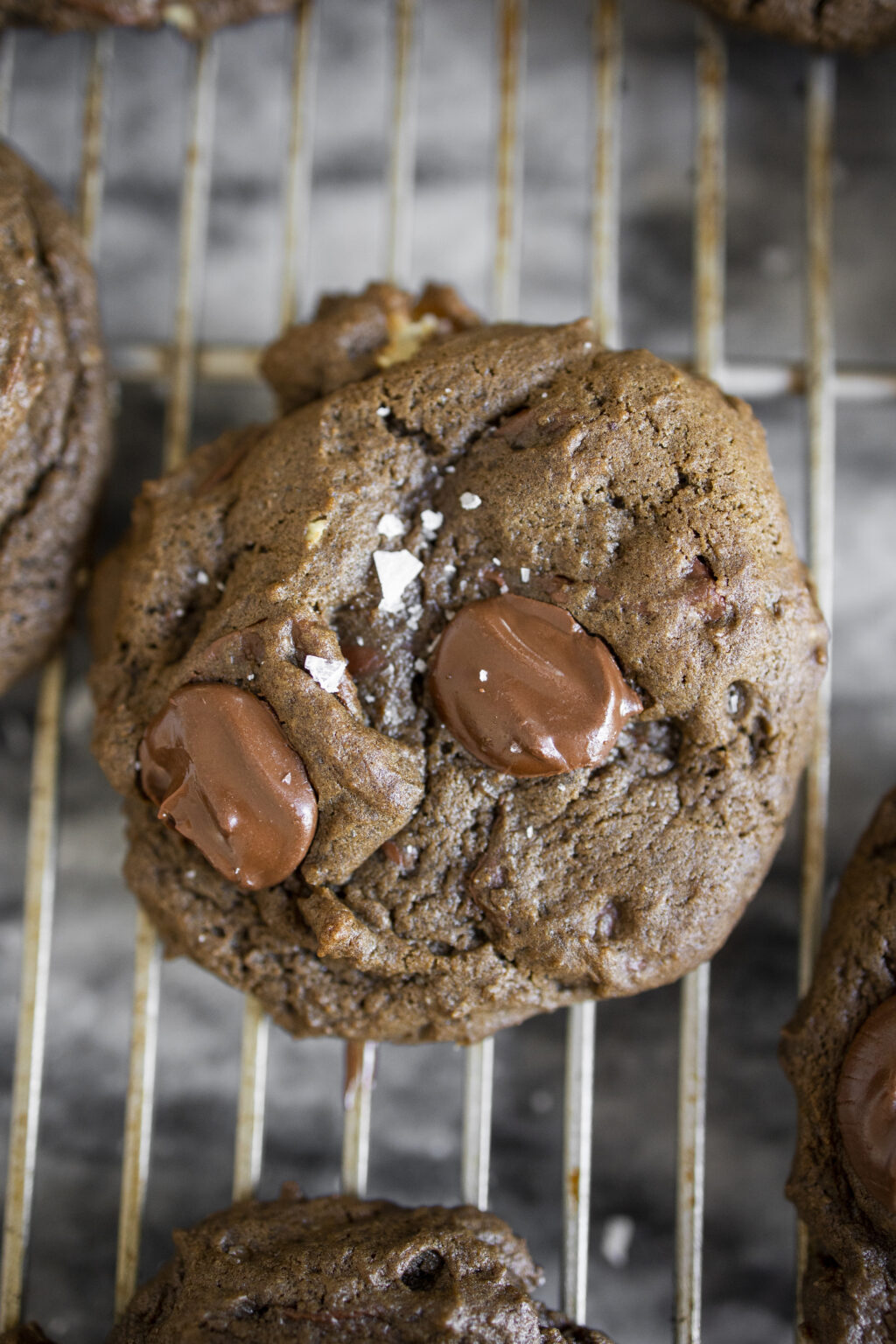 Double Chocolate Chip Cookies - HealthyHappyLife.com