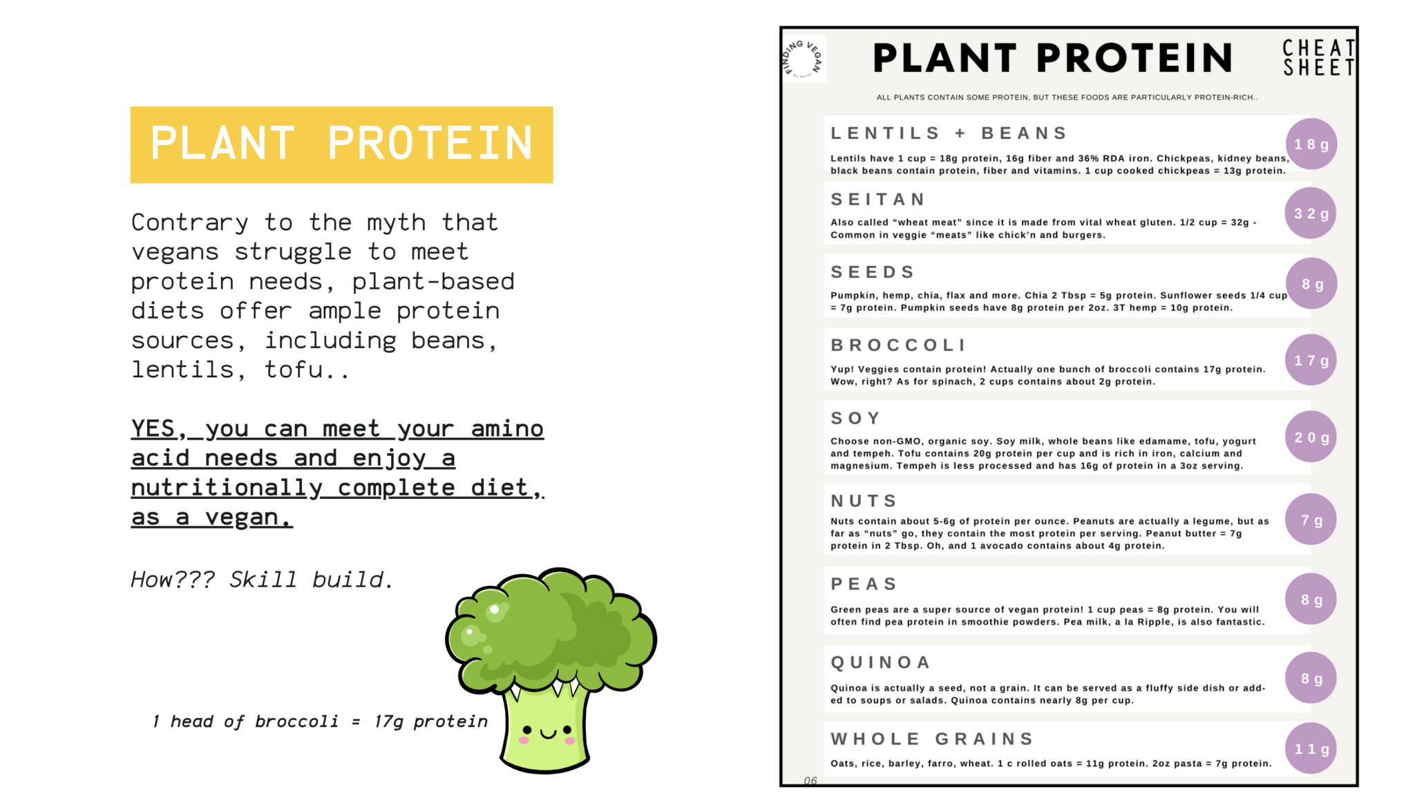 Where Do You Get Your Protein on a Vegan Diet? - HealthyHappyLife.com