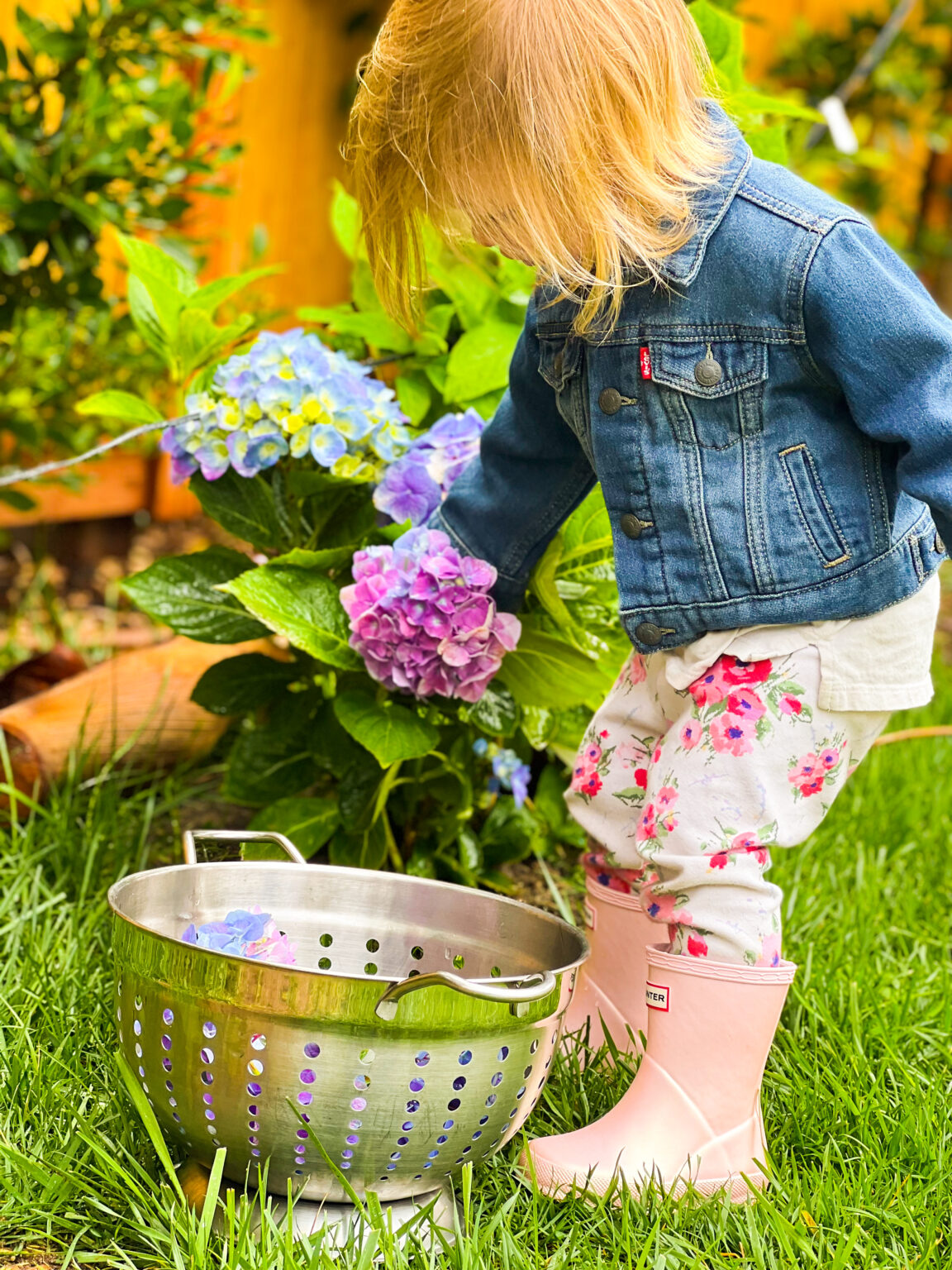 Spring Fling: Best Garden & Outdoor Finds for Your Home & Kids ...